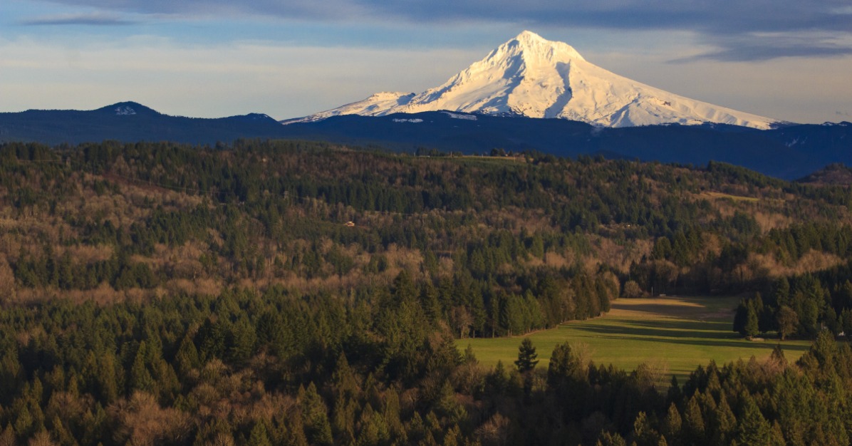 Shop: Sandy | Oregon's Mt. Hood Territory