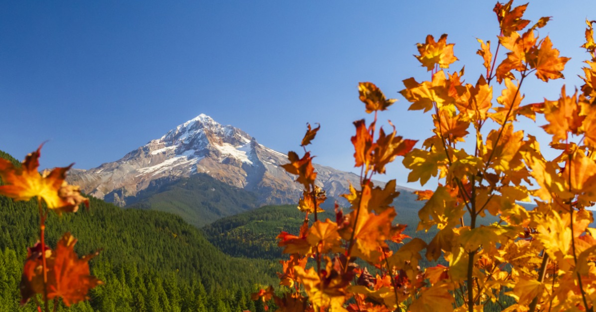 Lolo Pass Loop: Cycling Adventure Near Sandy | Mt. Hood Territory