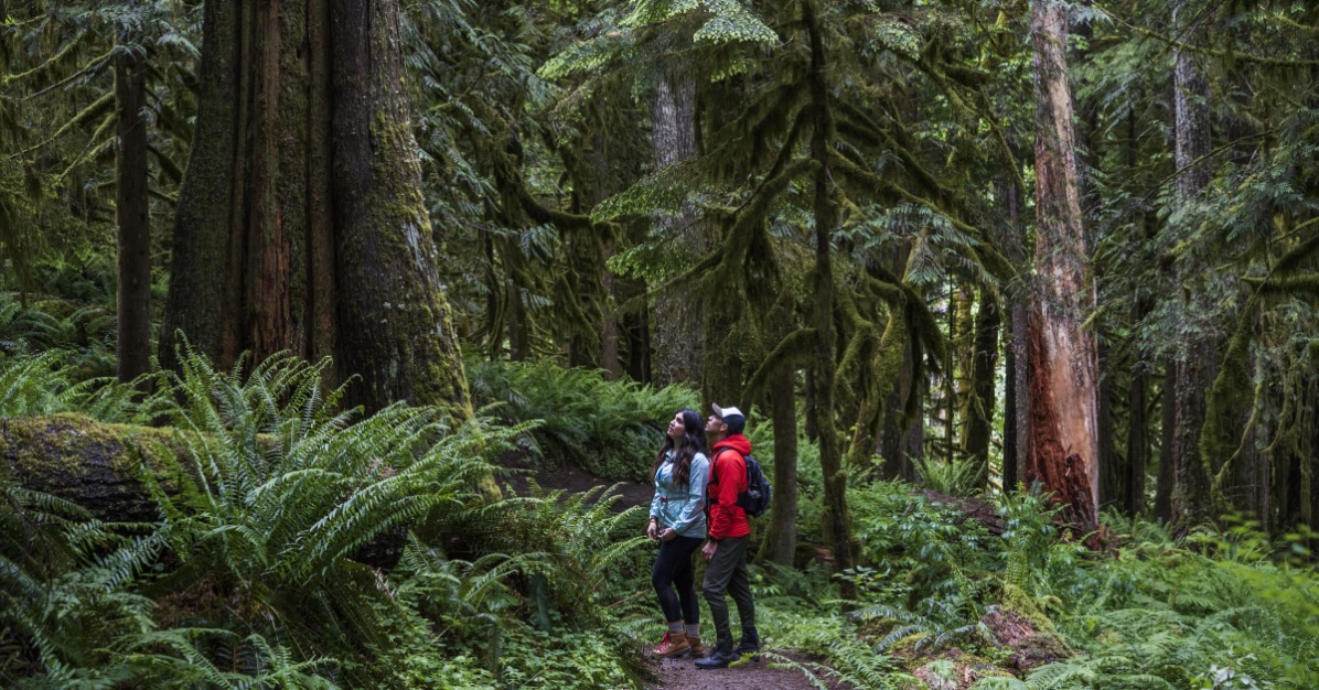 National Forest Week | Oregon's Mt. Hood Territory