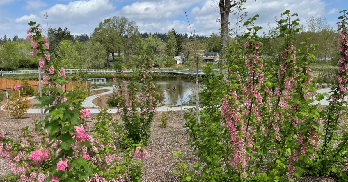 Things to Do in Gladstone | Oregon's Mt. Hood Territory