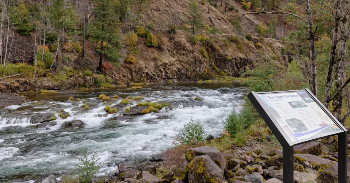 Spring on the Upper Clackamas River | Rafting, Hiking & Wildflowers